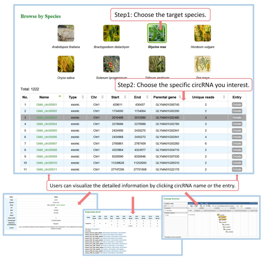 PlantCircNet:植物ceRNA调控网络数据库-CSDN博客
