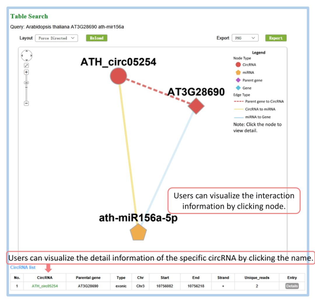 PlantCircNet:植物ceRNA调控网络数据库-CSDN博客