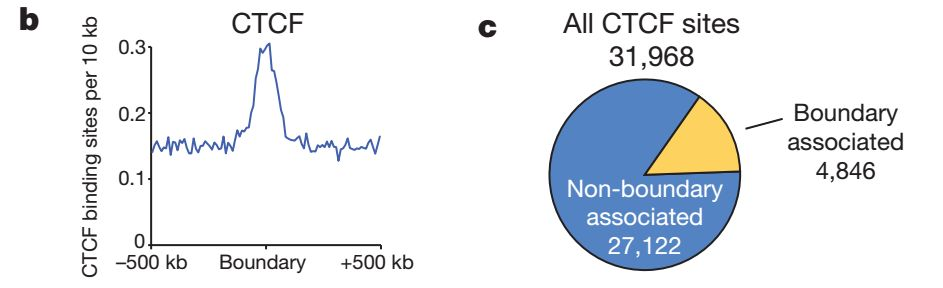 TAD:拓扑关联结构域简介_生信修炼手册的博客-CSDN博客