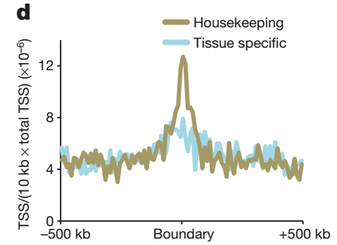 TAD:拓扑关联结构域简介-CSDN博客