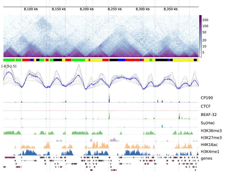 使用pyGenomeTracks可视化hi-c数据-CSDN博客
