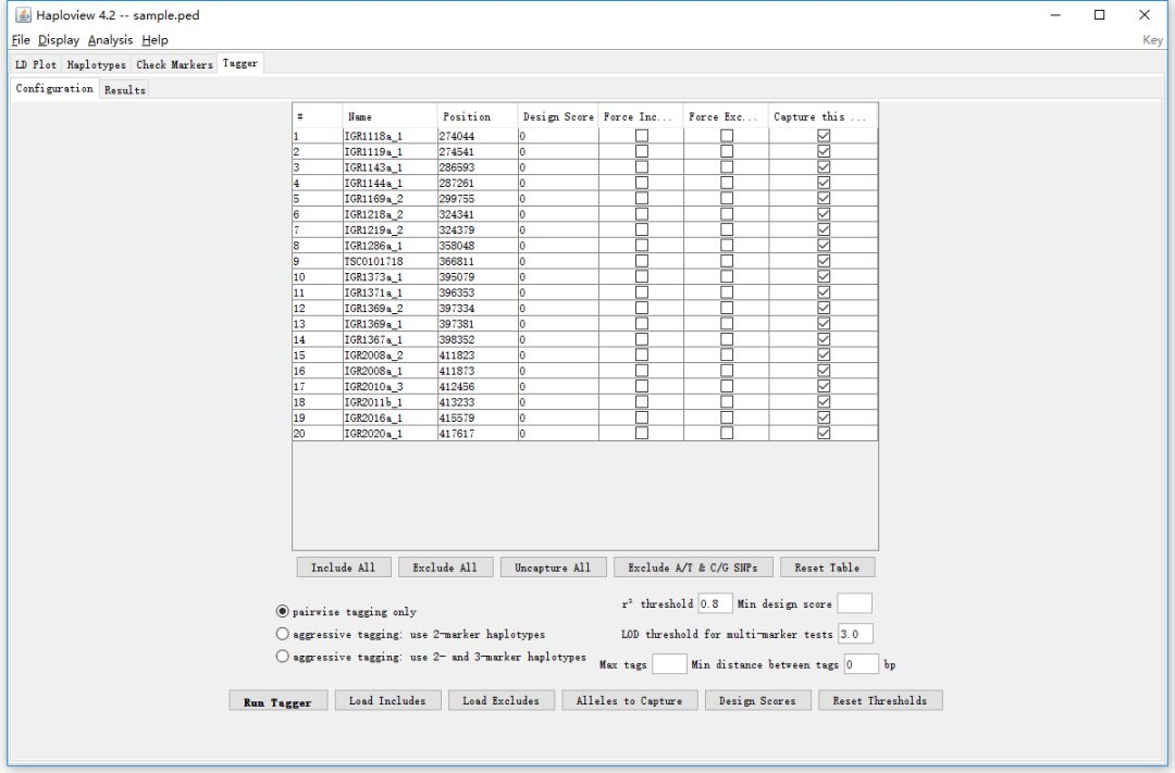 haploview进行连锁不平衡分析-CSDN博客