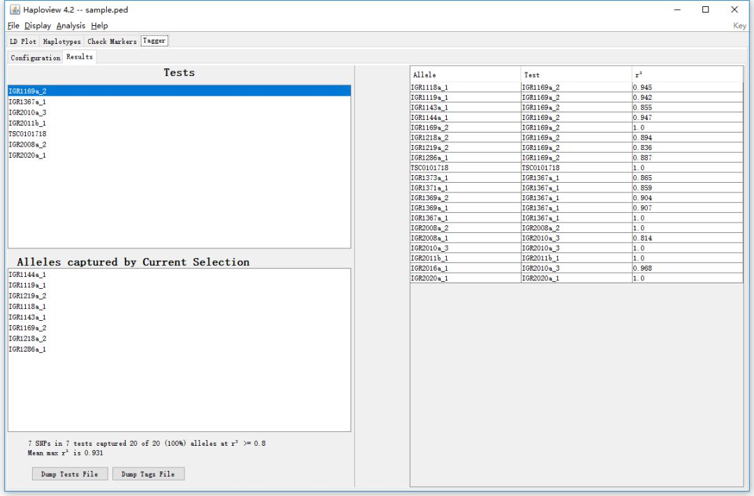 haploview进行连锁不平衡分析-CSDN博客