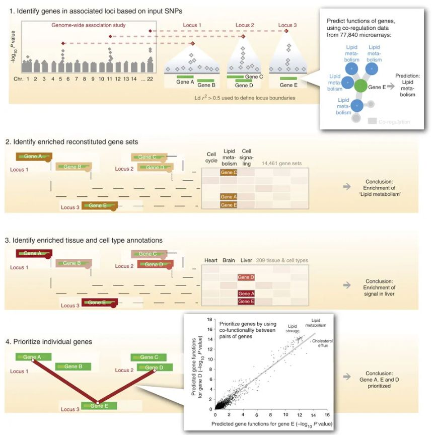 想要进行gene prioritization分析，请看这里！-CSDN博客