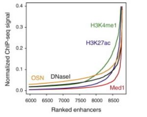 使用ROSE鉴定超级增强子-CSDN博客