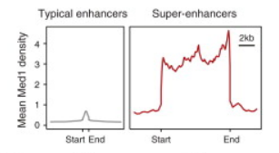 使用ROSE鉴定超级增强子-CSDN博客