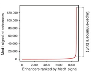 使用ROSE鉴定超级增强子-CSDN博客