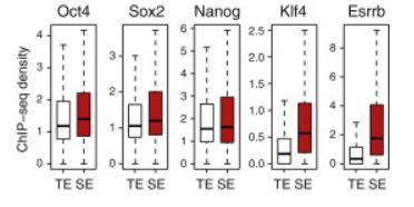 使用ROSE鉴定超级增强子-CSDN博客