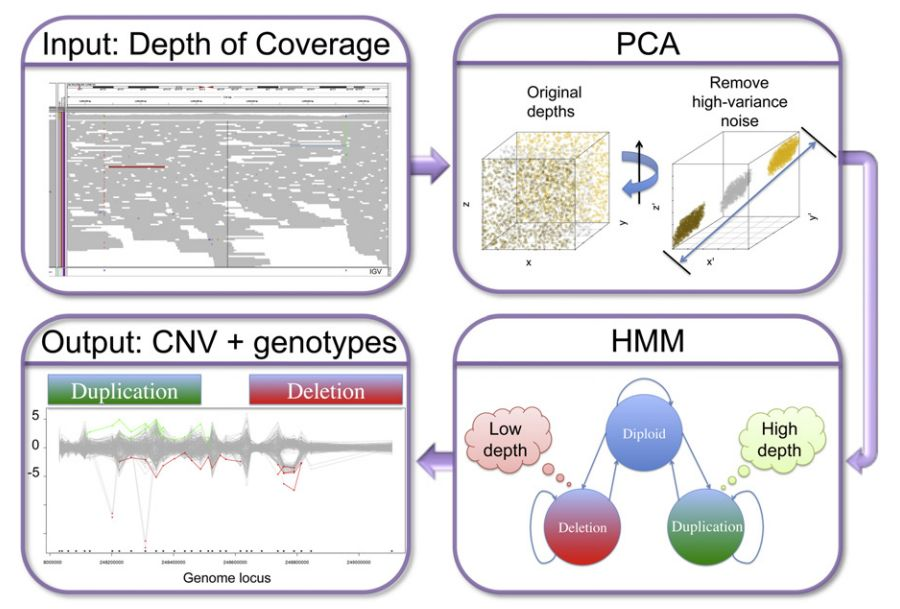 XHMM分析原理简介-CSDN博客