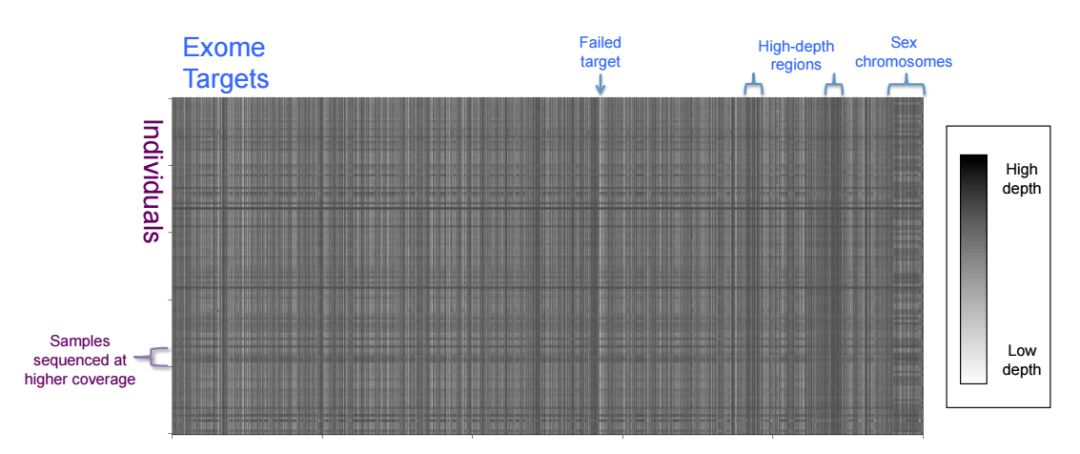 XHMM分析原理简介-CSDN博客