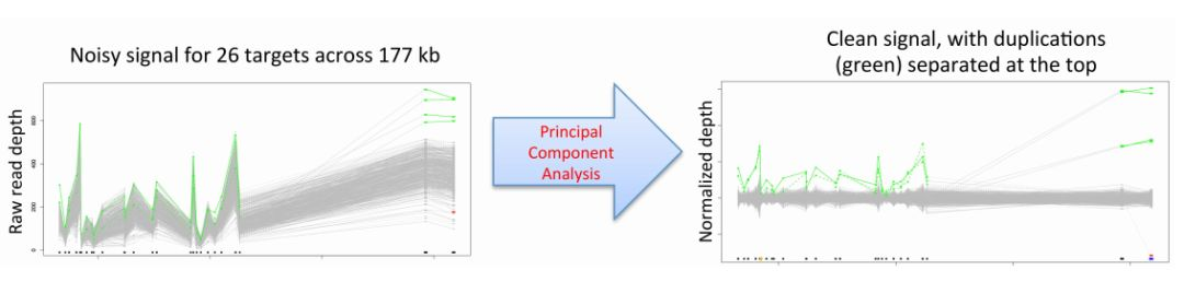 XHMM分析原理简介-CSDN博客