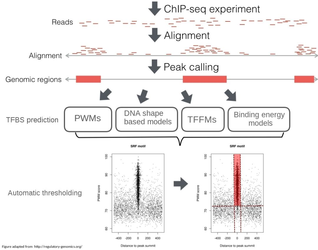 unibind:human转录因子结合位点数据库-CSDN博客