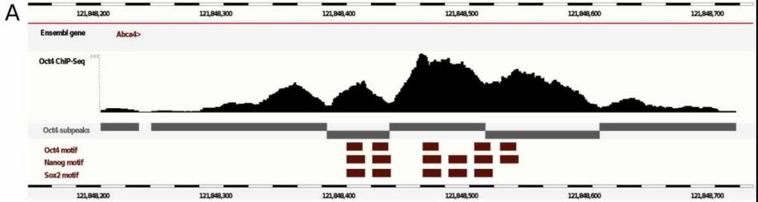 使用PeakAnalyzer进行peak注释-CSDN博客