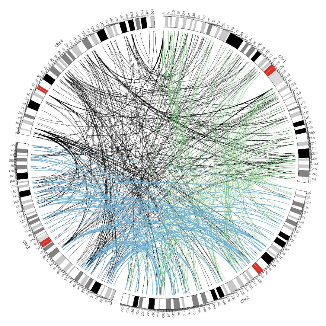 circos绘制彩色的links-CSDN博客