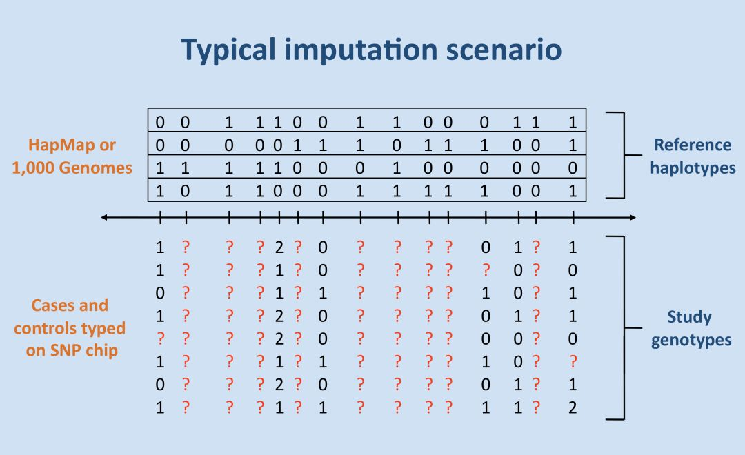 使用IMPUTE2进行基因型填充-CSDN博客