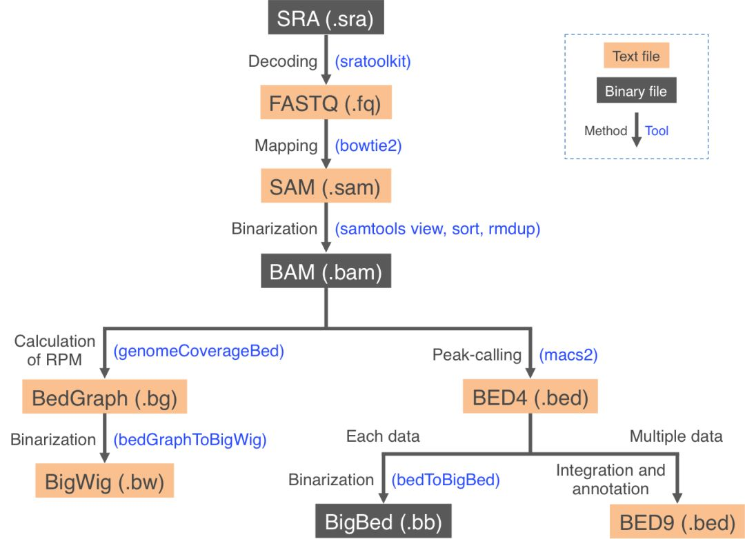 ChIP-Atlas:基于公共chip_seq数据进行分析挖掘-CSDN博客