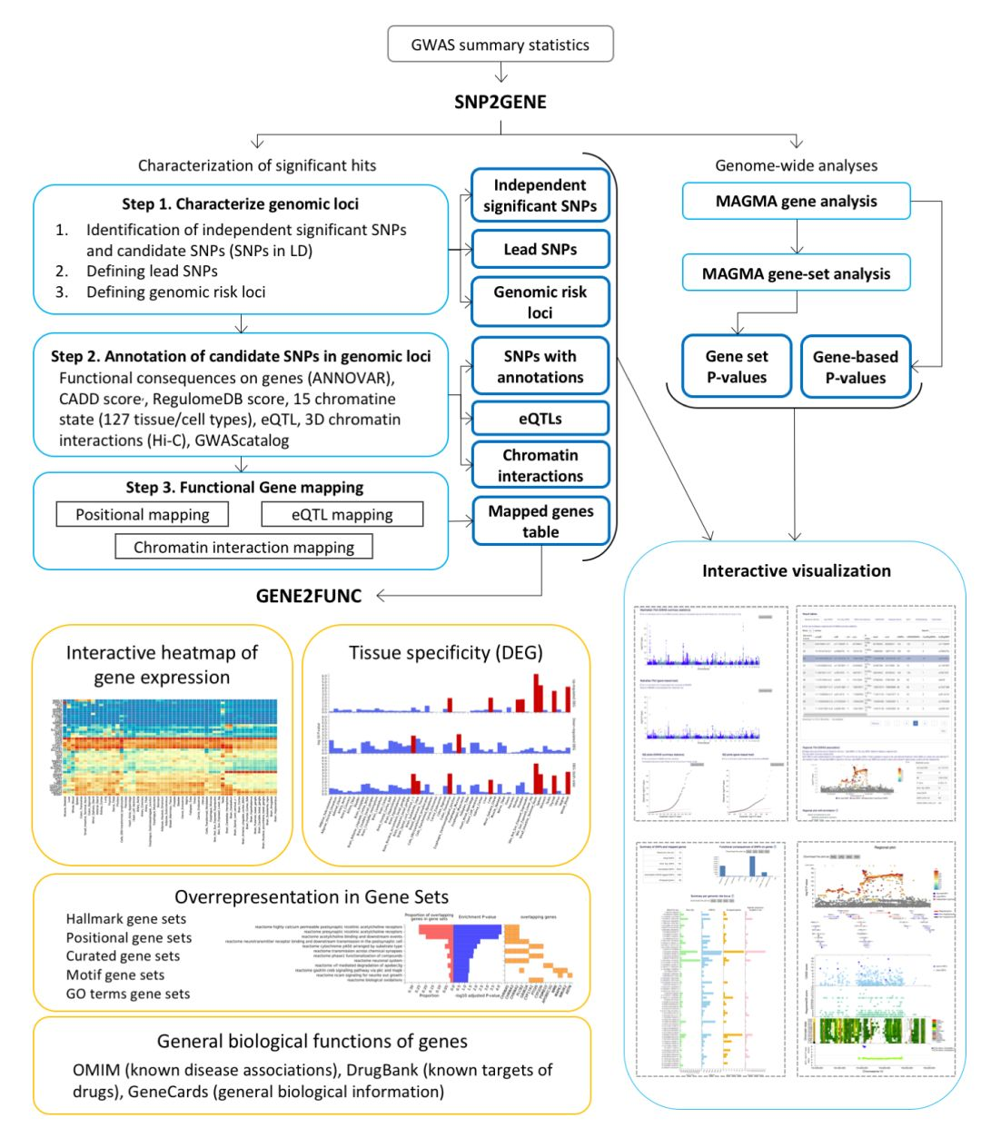 GWAS做完了，下一步做什么？-CSDN博客