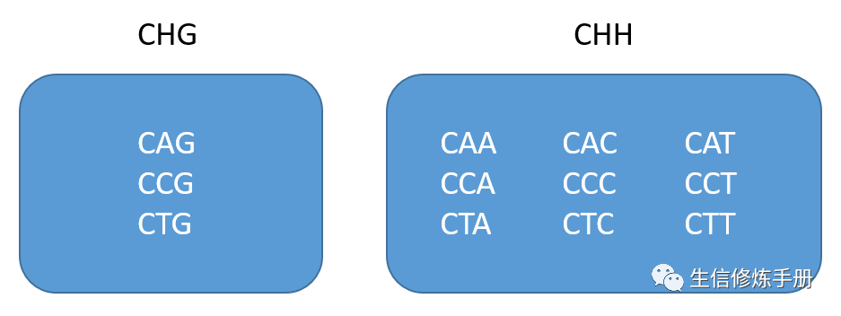bismark 识别甲基化位点-CSDN博客