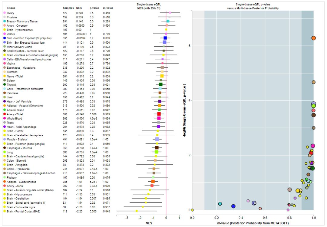 GTEx:基因型和基因表达量关联数据库-CSDN博客