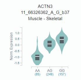 GTEx:基因型和基因表达量关联数据库-CSDN博客