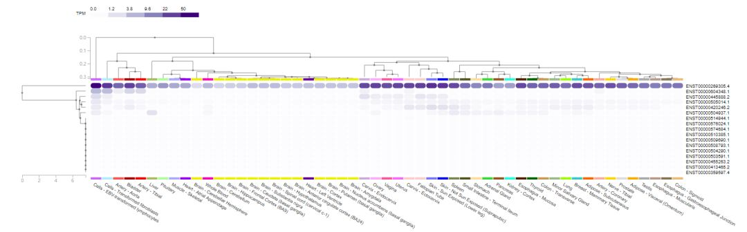 GTEx:基因型和基因表达量关联数据库-CSDN博客