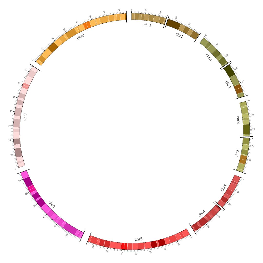 circos染色体进阶技巧-CSDN博客