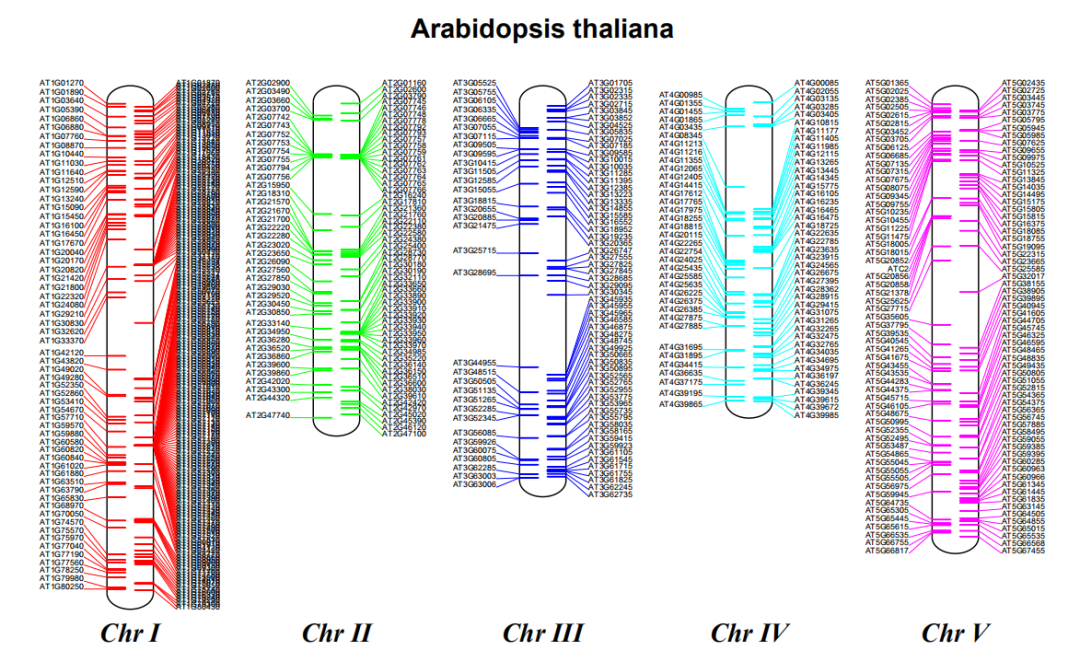 使用biopython可视化染色体和基因元件-CSDN博客