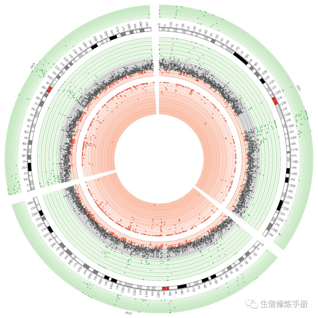 circos 可视化手册-plots篇-CSDN博客