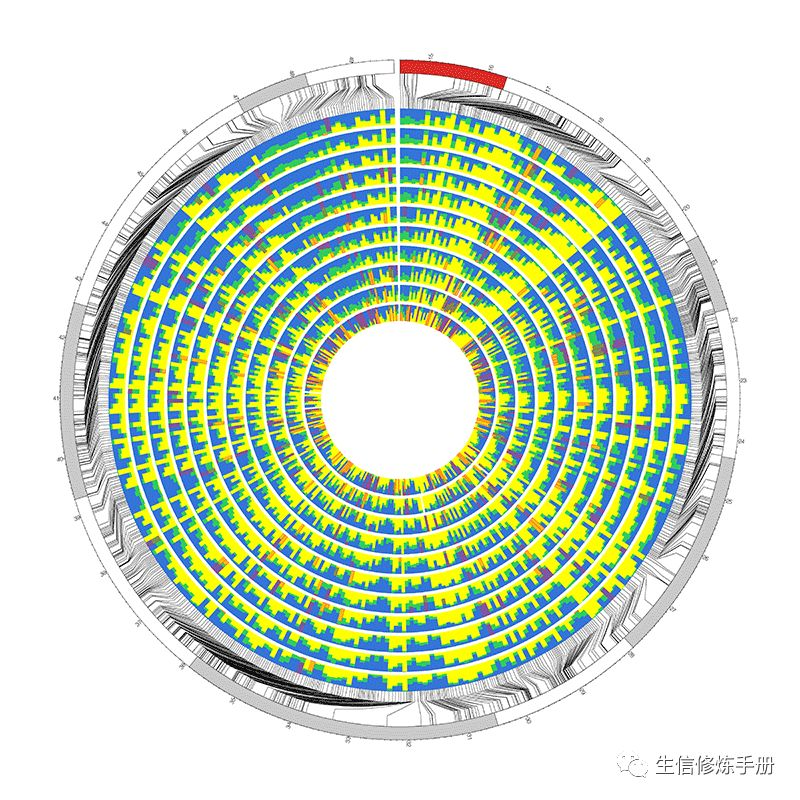 circos 可视化手册-plots篇-CSDN博客