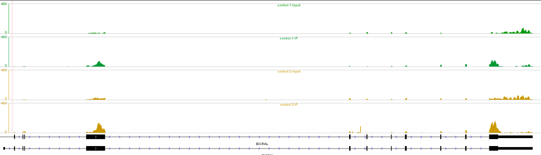 使用igvtools可视化测序深度分布-CSDN博客