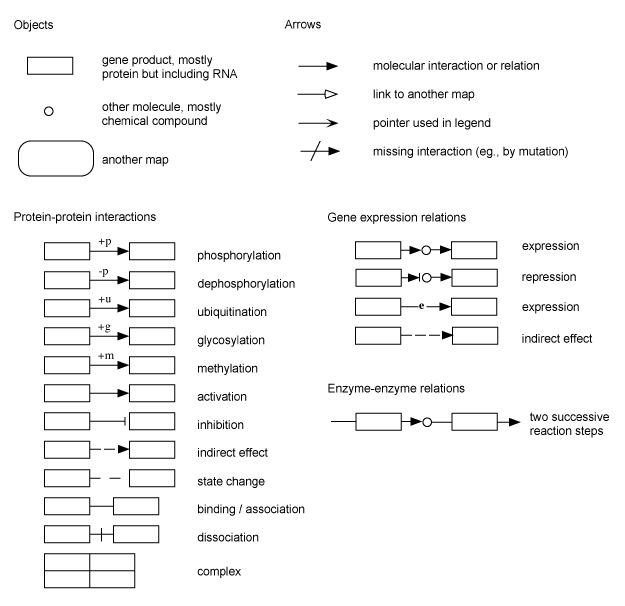 KEGG pathway 数据库-CSDN博客