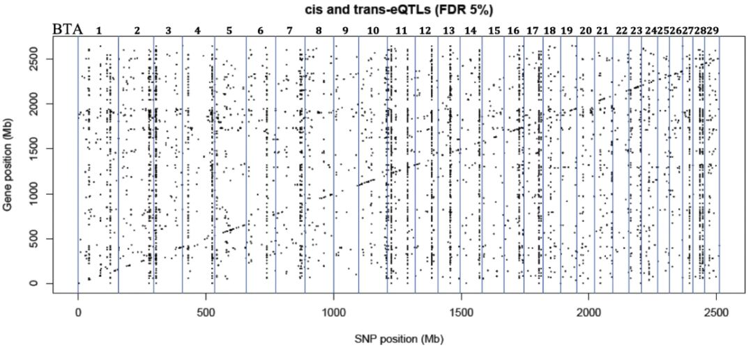 eQTL hotspot : eQTL热点区域-CSDN博客