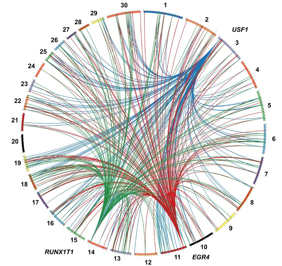 eQTL hotspot : eQTL热点区域-CSDN博客