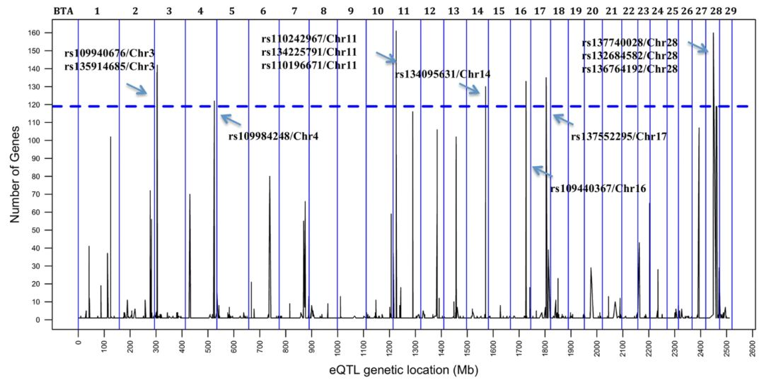 eQTL hotspot : eQTL热点区域-CSDN博客