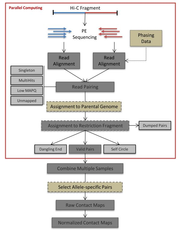 HiC-Pro:灵活的Hi-C数据处理软件-CSDN博客