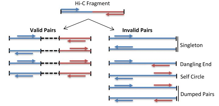 HiC-Pro:灵活的Hi-C数据处理软件-CSDN博客