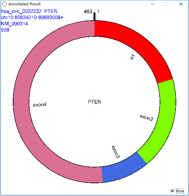 circPrimer:环状RNA注释和引物设计工具-CSDN博客