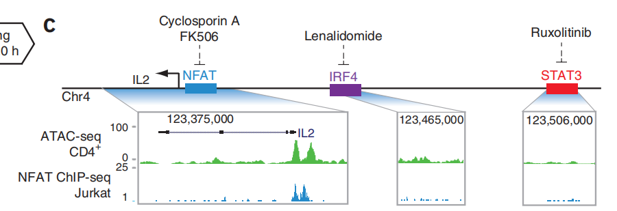 引用2115次的ATAC经典论文解读-CSDN博客