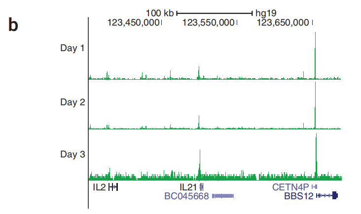 引用2115次的ATAC经典论文解读-CSDN博客