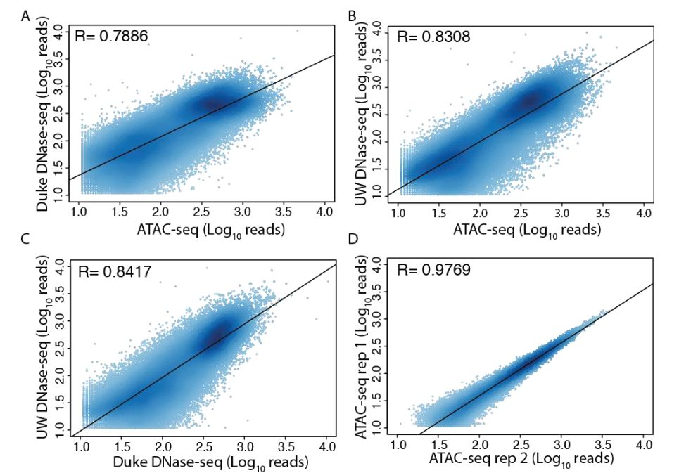 引用2115次的ATAC经典论文解读-CSDN博客