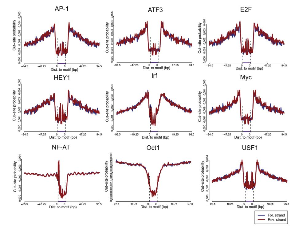 引用2115次的ATAC经典论文解读-CSDN博客