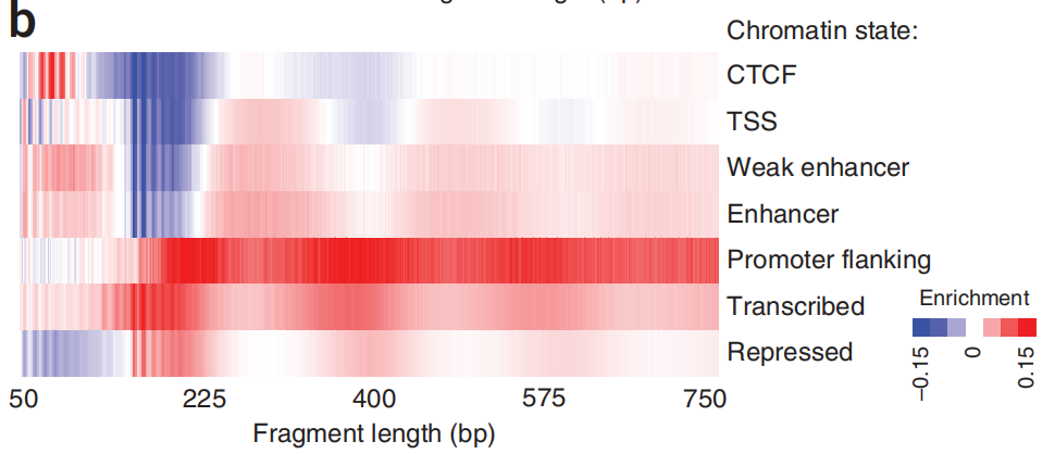 引用2115次的ATAC经典论文解读-CSDN博客