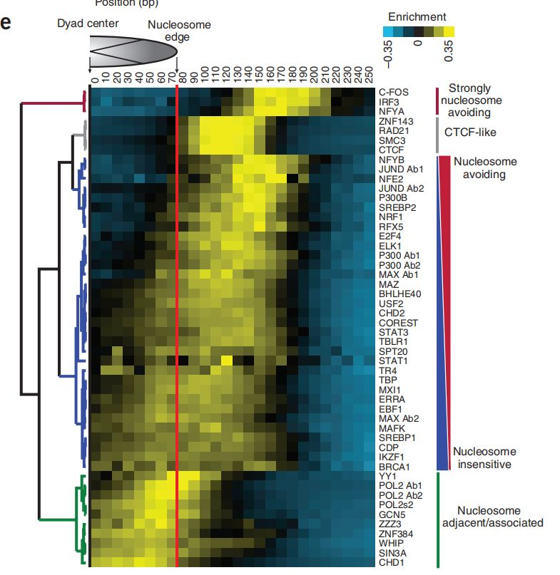 引用2115次的ATAC经典论文解读-CSDN博客