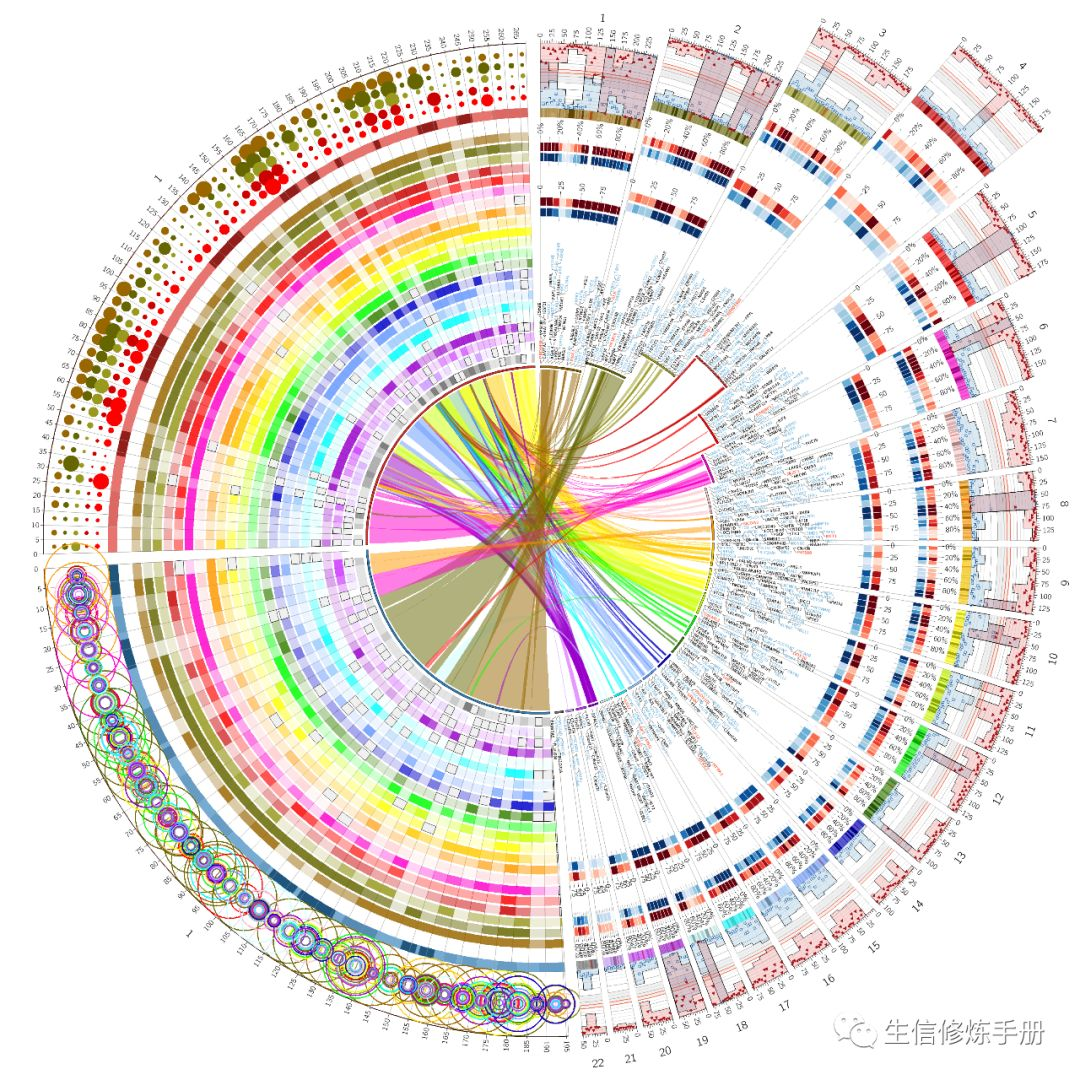 TBtools 绘制Circos图小攻略 - 程序员大本营