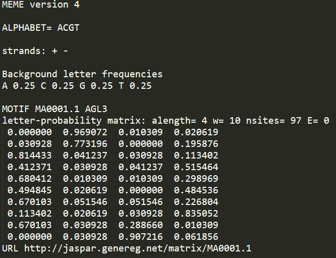 详解motif的PFM矩阵-CSDN博客