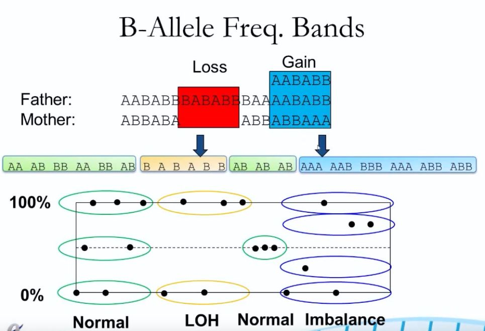 基于SNP芯片进行CNV分析中的基本知识点-CSDN博客