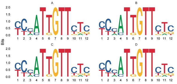 使用ggseqlogo可视化motif-CSDN博客