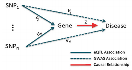 GWAS与eQTL相结合，进一步筛选疾病相关基因-CSDN博客