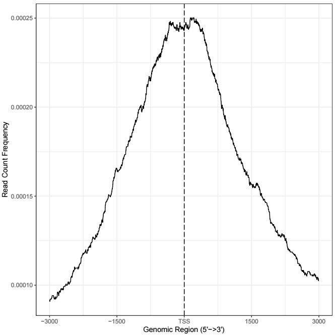 使用ChIPseeker进行peak注释-CSDN博客