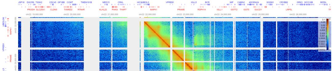 HiGlass:高度定制的Hi-C数据可视化应用-CSDN博客